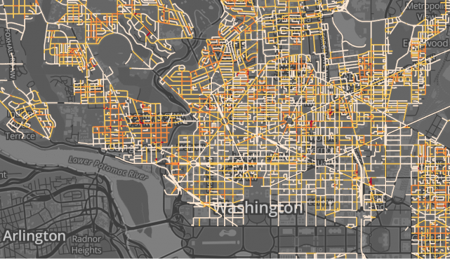 DC Fall Foliage Gets Digitized & Meaningful | We Love DC