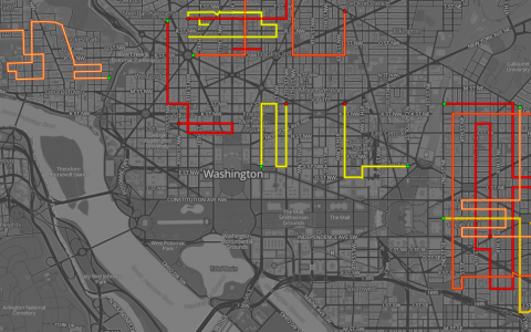 DC Fall Foliage Gets Digitized & Meaningful | We Love DC